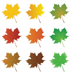 Fall leaves Royalty Free Vector Image - VectorStock