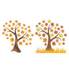 Autumn tree on white background Royalty Free Vector Image