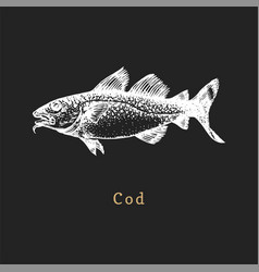Silhouette of cod fish Royalty Free Vector Image
