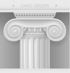 Capital ionic column Royalty Free Vector Image