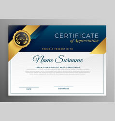 Blue professional diploma certificate design Vector Image