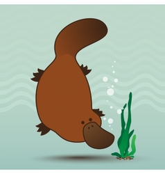 Platypus isolated on white background Royalty Free Vector