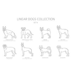 Working service and watching dogs collection Vector Image
