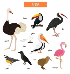 Various birds theme set 1 Royalty Free Vector Image