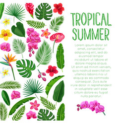 Orchid summer tropical flower Royalty Free Vector Image