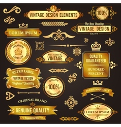 Vintage menu template with golden elements Vector Image