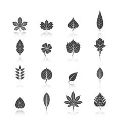 Plant Leaves Black Icons Set Royalty Free Vector Image
