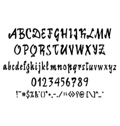 Alphabet calligraphic font unique custom Vector Image
