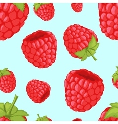 Realistic red raspberries with green leaves Vector Image