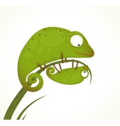 Two lizards mother and bachildish animal Vector Image