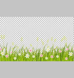 Spring grass seamless border with flowers Vector Image