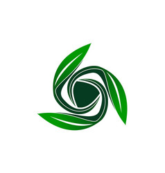 Leaf motion rotation Royalty Free Vector Image