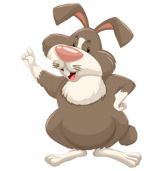 Bunny face on white background Royalty Free Vector Image