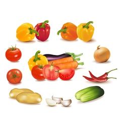Fresh vegetables healthy food Royalty Free Vector Image