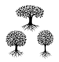 Set of abstract stylized trees with roots and Vector Image