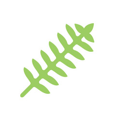 Dried thyme detailed icon Royalty Free Vector Image