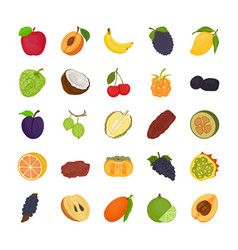 Half fruits apricot cherry strawberries peach Vector Image