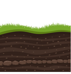 Soil formation and horizons Royalty Free Vector Image