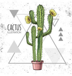 Arrow signs on cactus plants Royalty Free Vector Image
