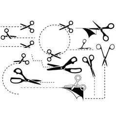 Calligraphy lines and dividers Royalty Free Vector Image