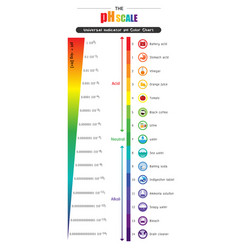 Ph scale universal indicator color chart Vector Image