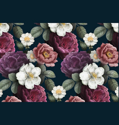 Beautiful violet rose flower background Royalty Free Vector