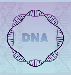 DNA strand sphere with curves Royalty Free Vector Image