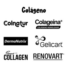 Banco austro logo Royalty Free Vector Image - VectorStock