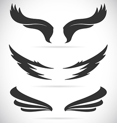 Colorful birds design on a black background wild Vector Image