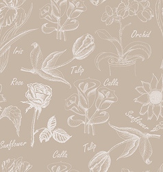 Hand drawing seamless pattern flowers iris calla Vector Image