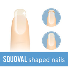 Spectacle frames for women face shapes Royalty Free Vector