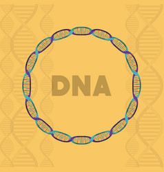 DNA strand sphere with curves Royalty Free Vector Image
