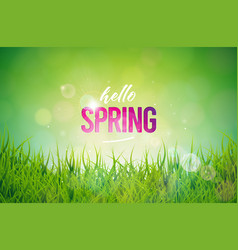 On a spring nature theme Royalty Free Vector Image
