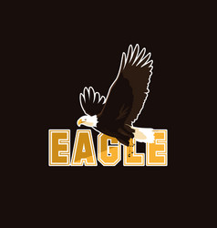 Bald eagle bird set poses Royalty Free Vector Image