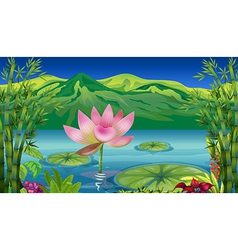 Cartoon Lotus Flower Royalty Free Vector Image