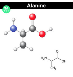 Chemical structures basic amino acids Royalty Free Vector