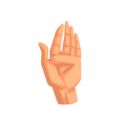 Leg male body part on a white Royalty Free Vector Image