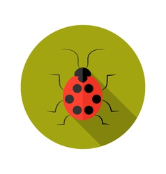 Red Lady Bug flat icon Royalty Free Vector Image