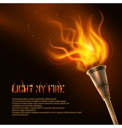 Fire flame realistic borders Royalty Free Vector Image