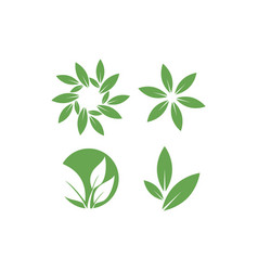 Root graphic design template isolated Royalty Free Vector