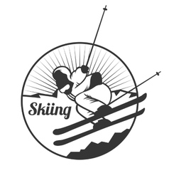 Ski badges Royalty Free Vector Image - VectorStock