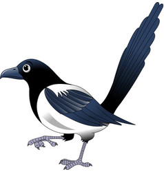 Magpie Royalty Free Vector Image - VectorStock