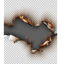 Transparent design ripped templates torn paper Vector Image