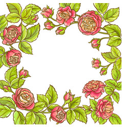 Wild rose frame Royalty Free Vector Image - VectorStock