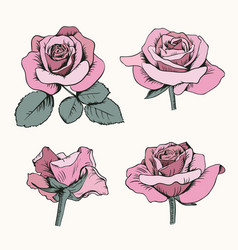 Vintage flowers set pink roses and buds wedding Vector Image