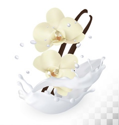 Big collection icons of fruit in a milk splash Vector Image