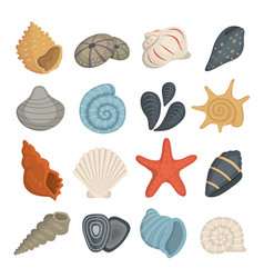 Cartoon seashells summer beach sea shells Vector Image