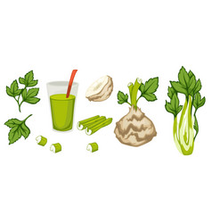 Smoothie cocktail green drink with cucumber Vector Image
