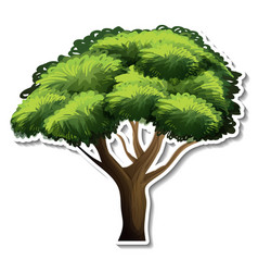 Isolated tree on white background Royalty Free Vector Image