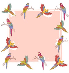 Frame with parrot Royalty Free Vector Image - VectorStock